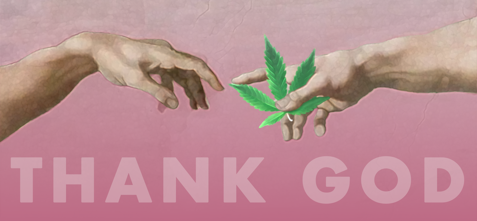 INICIO - Celestial CBD